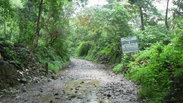 Tungareshwar Wildlife Sanctuary : तुंगारेश्वर अभयारण्यात केवळ 30 ...