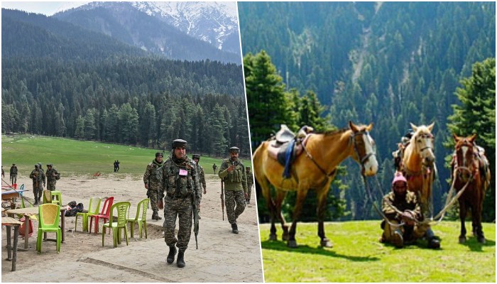 Pahalgam Attack : पहलगाम हल्ल्यानंतर बुकिंग्स सतत रद्द! घोडे मालकांचे ...